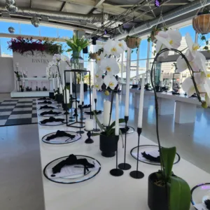 Deco Flow! - Wholesale to the public!