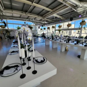 Deco Flow! - Wholesale to the public!