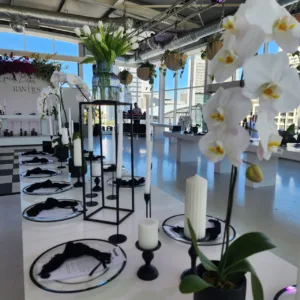 Deco Flow! - Wholesale to the public!