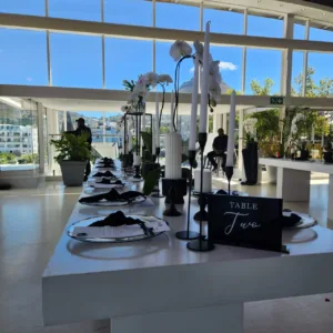 Deco Flow! - Wholesale to the public!