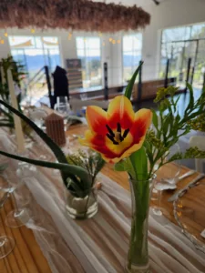 Deco Flow! - Wholesale to the public!