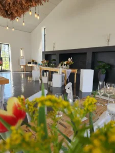 Deco Flow! - Wholesale to the public!